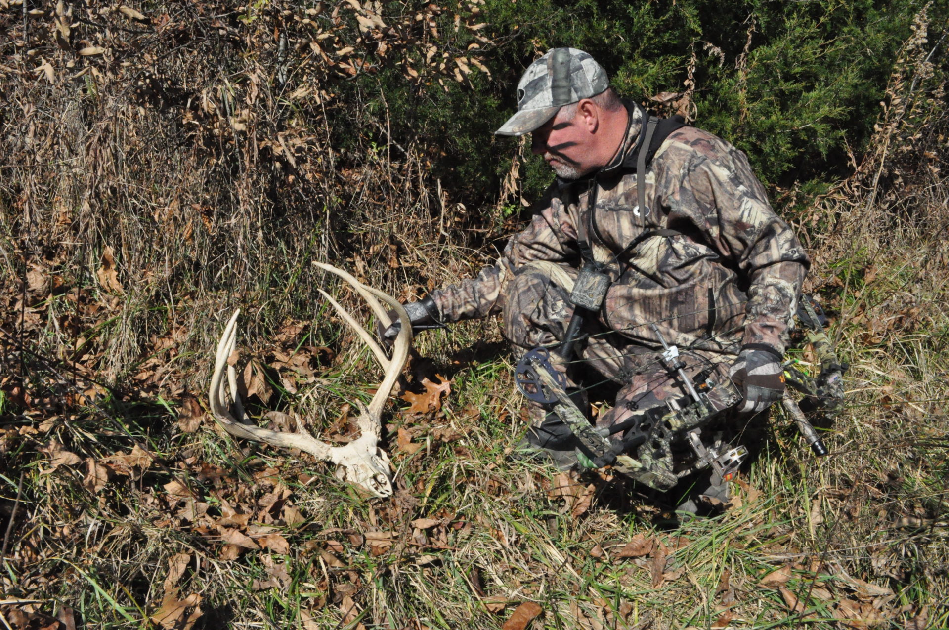 Your Deer Are Dying — The Hunting page