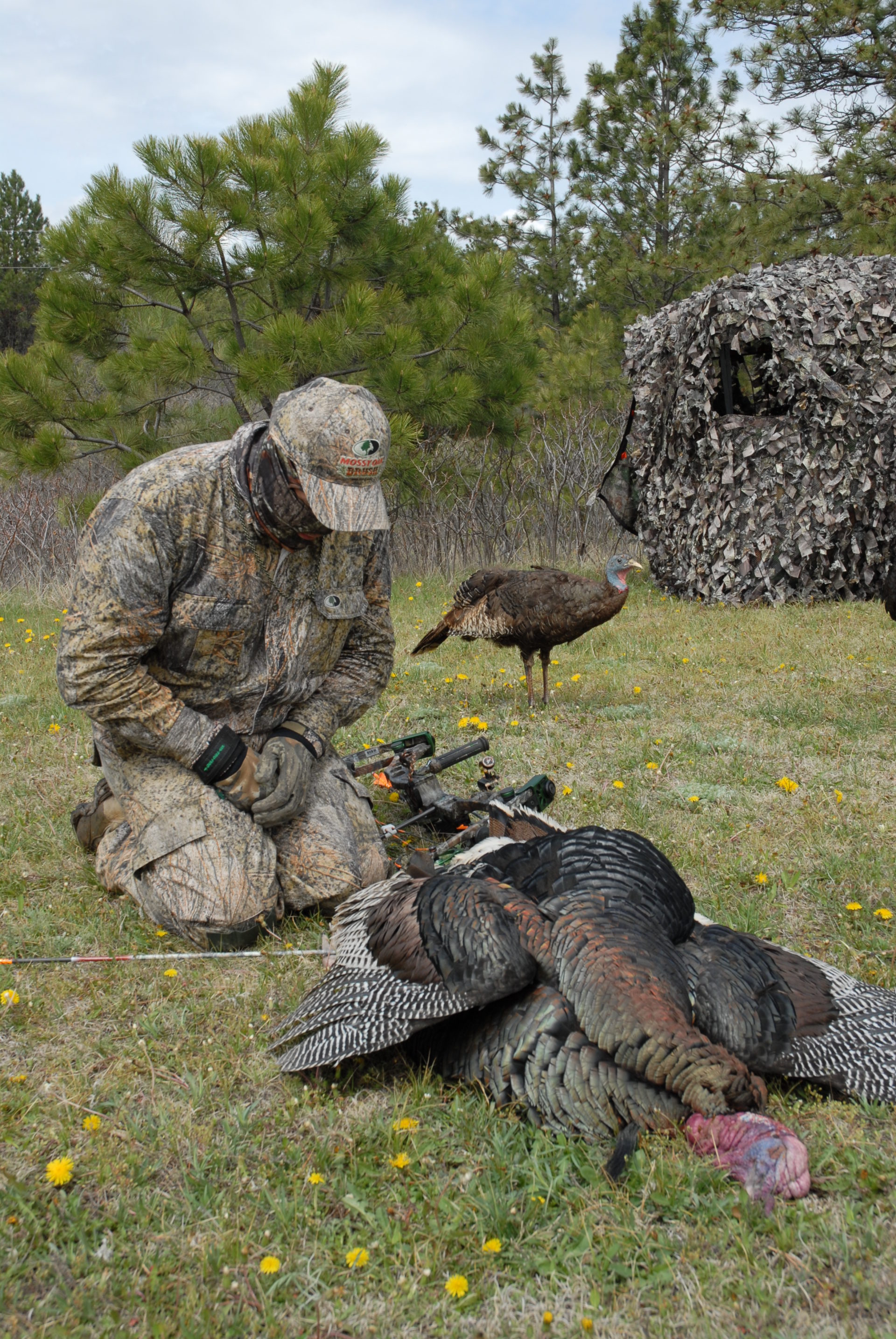 Turkey-Taught Deer Skills — The Hunting Page