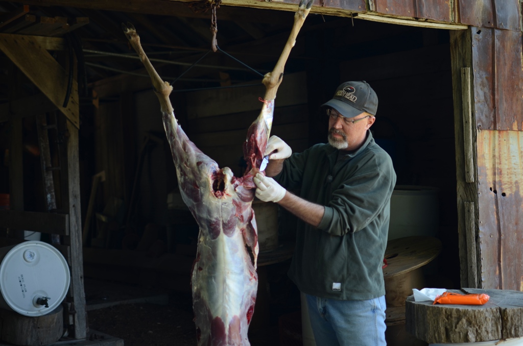 Processing-venison — The Hunting page