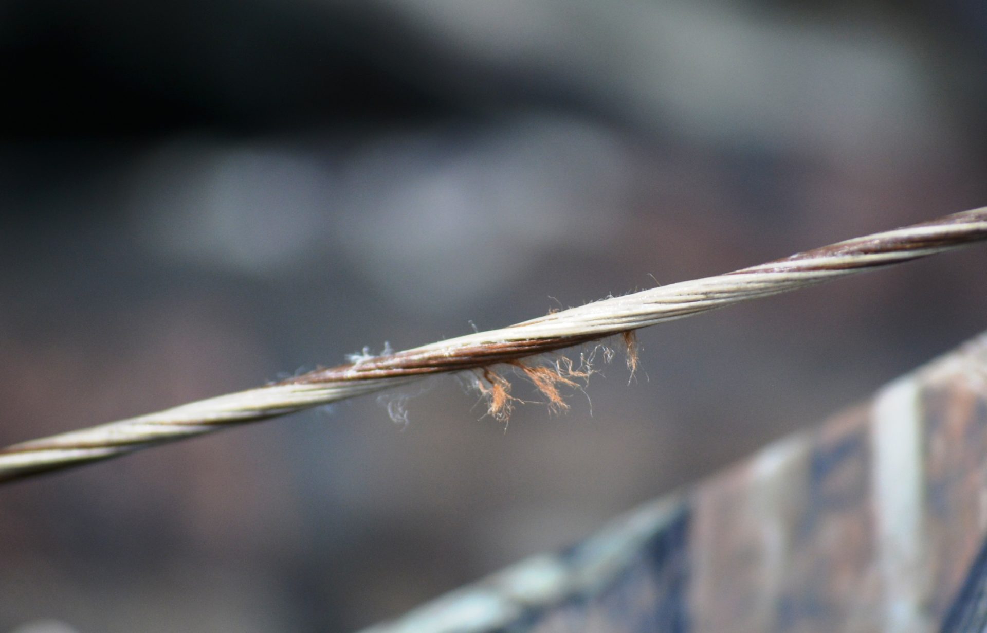 Prevent Crossbow String Damage with This Easy Fix — The Hunting page