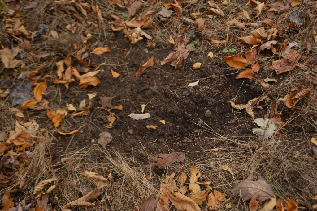 How to Read a Scrape — The Hunting page