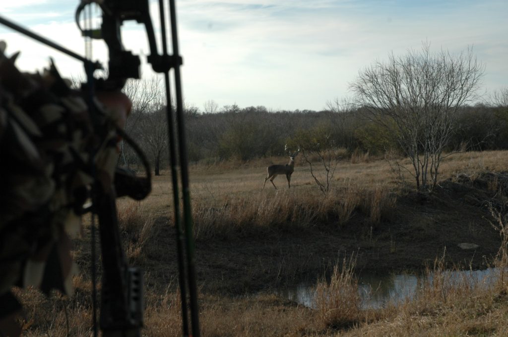 How to Hunt Pressured Deer — The Hunting page