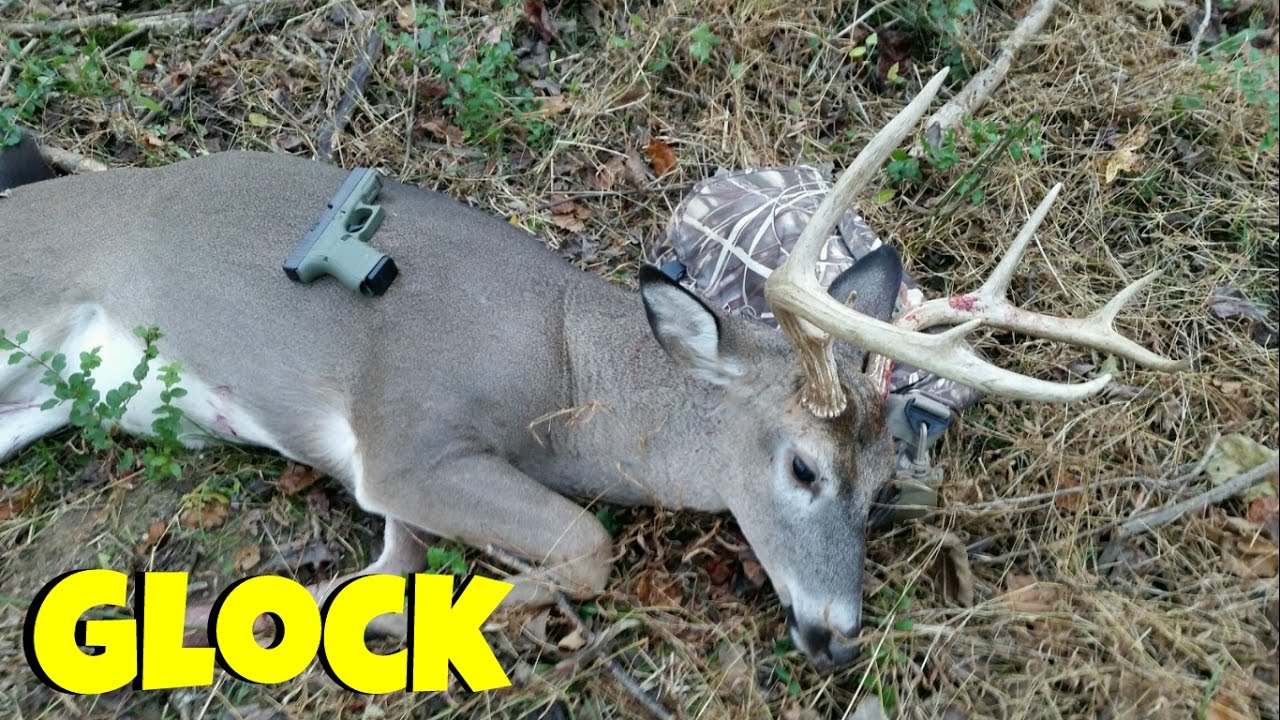 Glock 19 9mm Kills Big Buck [Video] — The Hunting page
