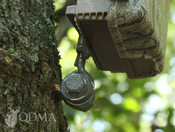 Video: Build a DIY Trail-Camera Mount — The Hunting page
