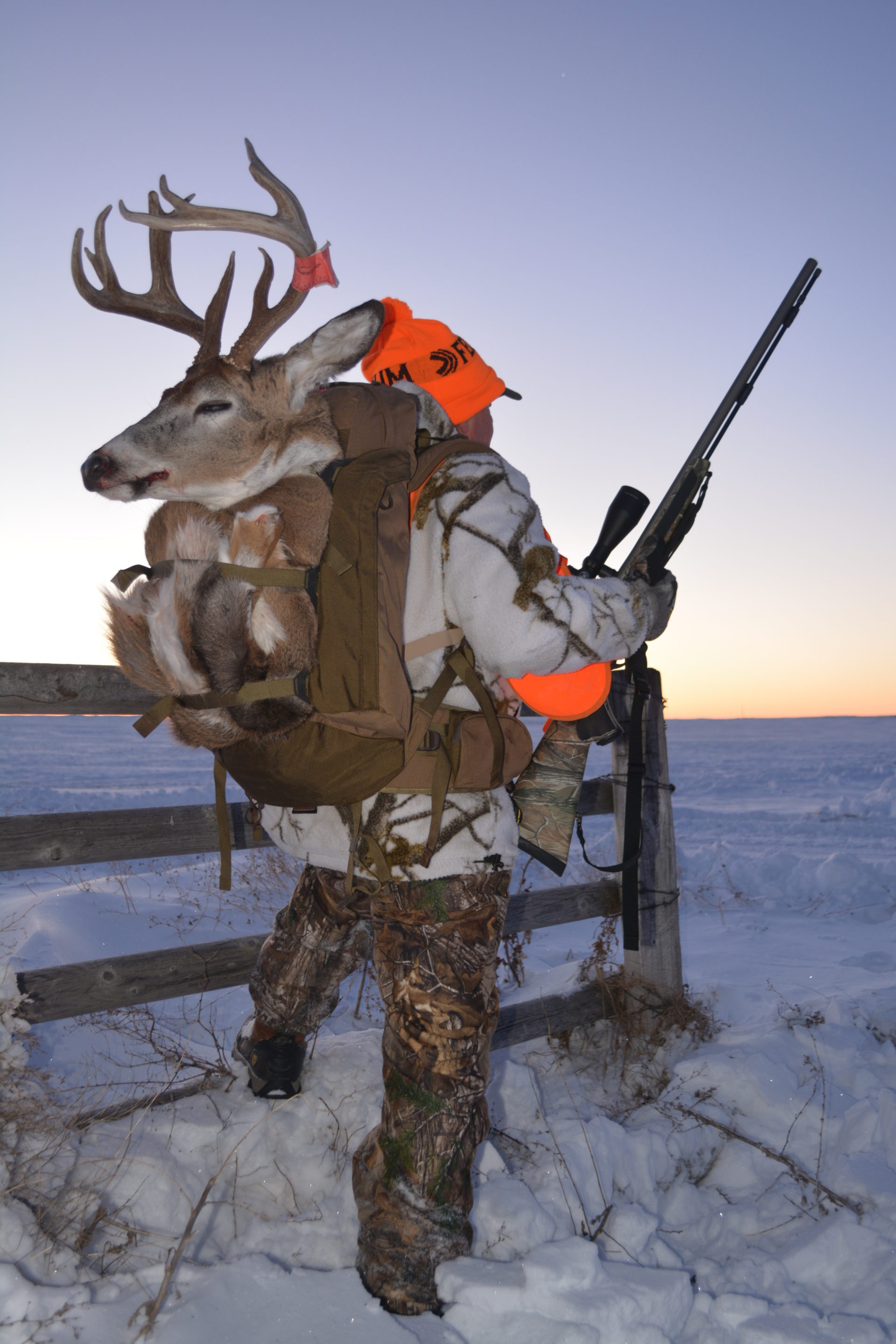 Deer Vision: How it Works and How to Stay Hidden — The Hunting page