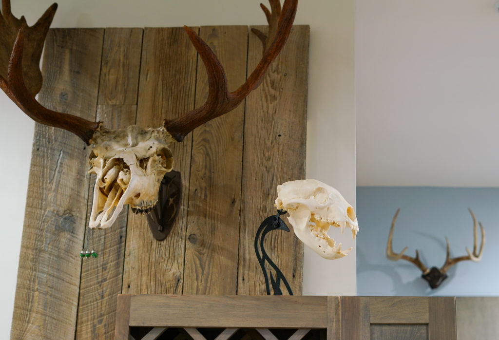 Display your Trophy in Style — The Hunting page